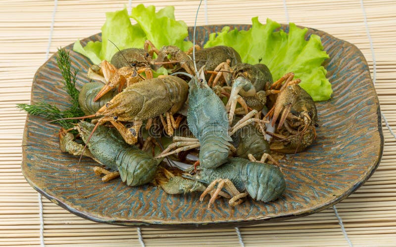 Raw Crayfish stock photo. Image of nutrition, wildlife - 51460426