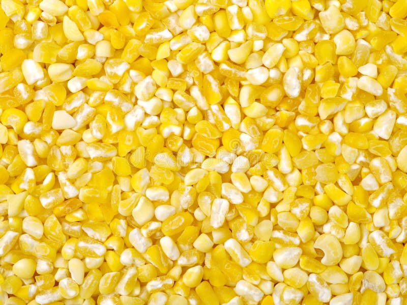 Raw crushed corn groats stock photo. Image of natural - 69178272