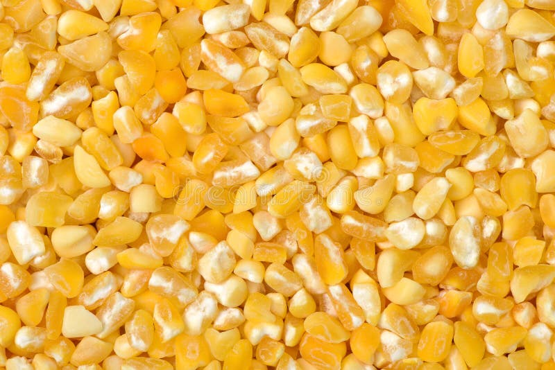Raw crushed corn groats stock photo. Image of natural - 69178272
