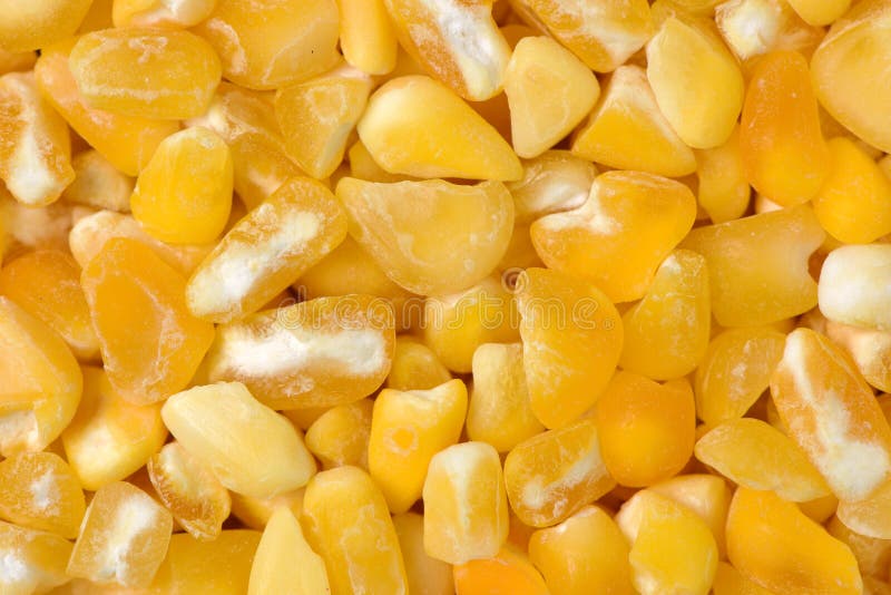 Raw crushed corn groats stock photo. Image of natural - 69178272