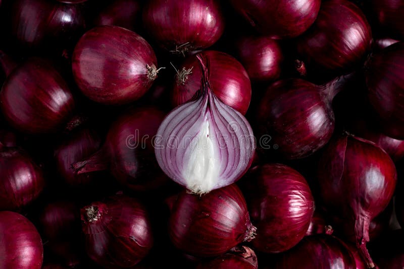 Raw Cut Onion on a Pile of Blue Onions Stock Photo - Image of lavender ...