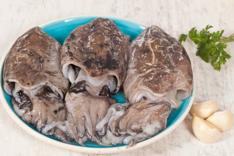 Raw cuttlefish stock photo. Image of nature, closeup - 45578580