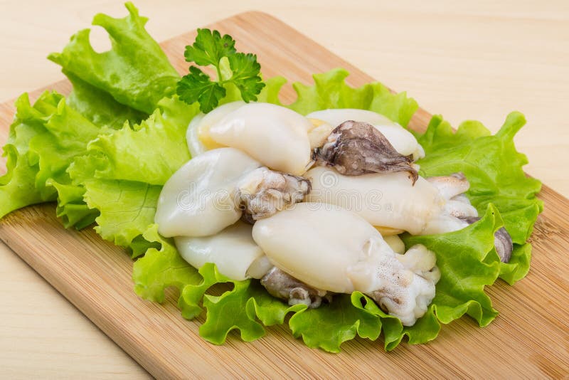 Raw cuttlefish stock image. Image of cooking, octopus - 51203731