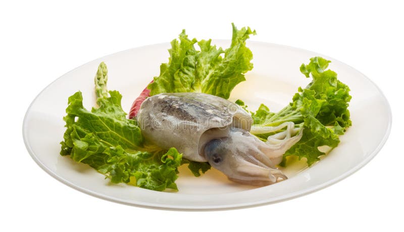 Raw cuttlefish stock image. Image of tasty, healthy, cuisine - 48341745
