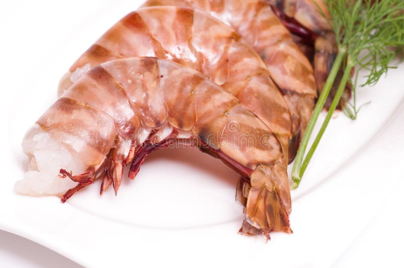 Raw deepwater prawns stock photo. Image of dill, shrimps - 24420622