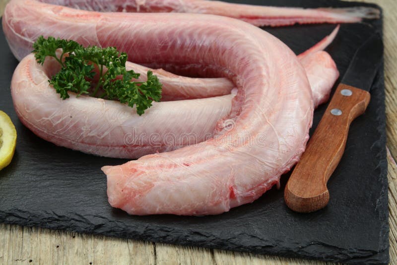 Raw dogfish stock photo. Image of fish, freshness, food - 166210912