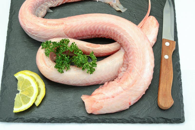 Raw dogfish stock photo. Image of food, fresh, dogfish - 166211034