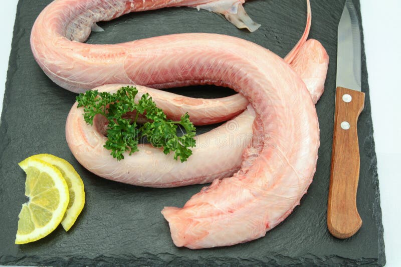 Raw dogfish stock image. Image of kitchen, food, freshness - 166211071