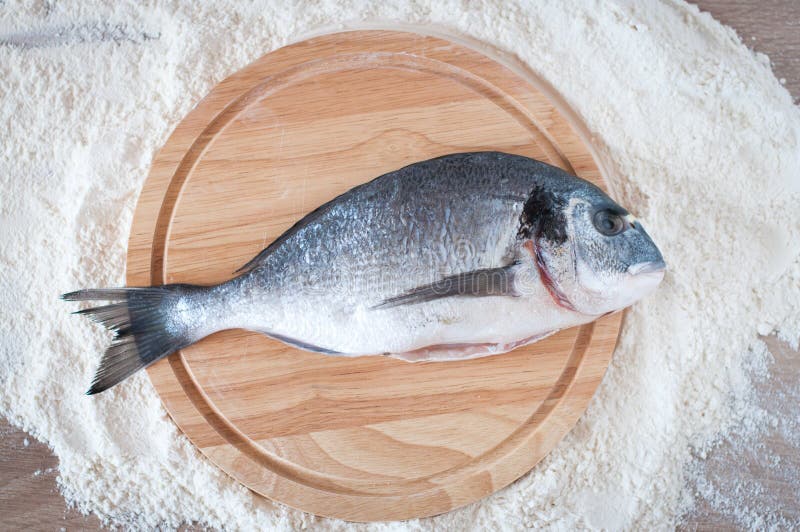 Raw dolphin table flat lay stock photo. Image of cooking - 74438768