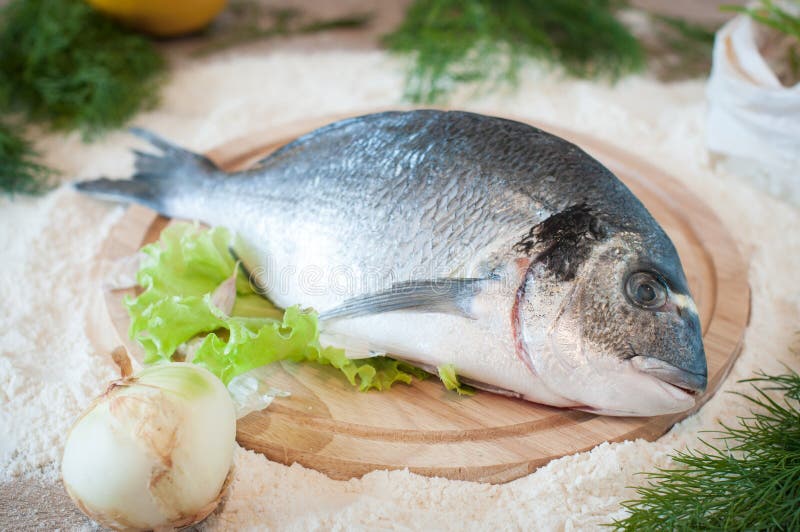 Raw Dolphin Table Flour Stock Photos - Free & Royalty-Free Stock Photos ...