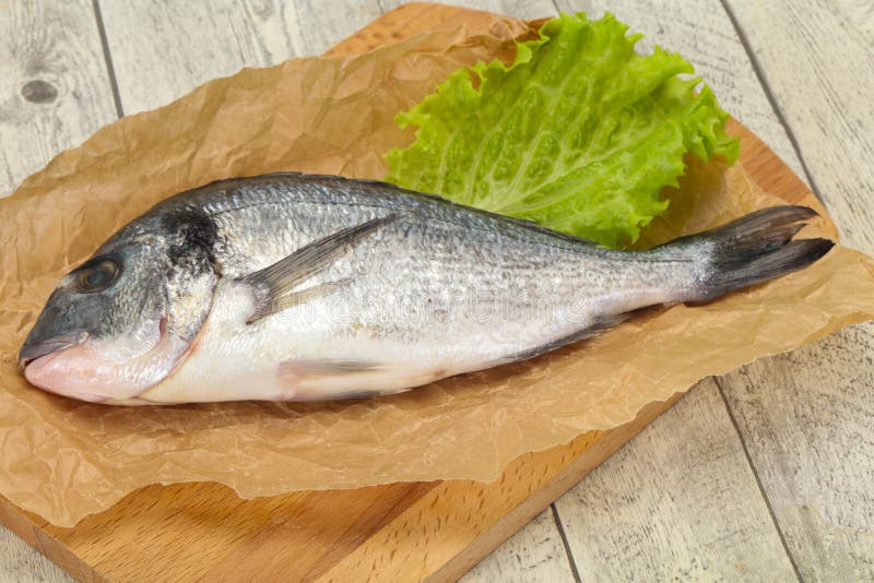 Raw Dorada Fish for Cooking Stock Image - Image of mediterranean ...
