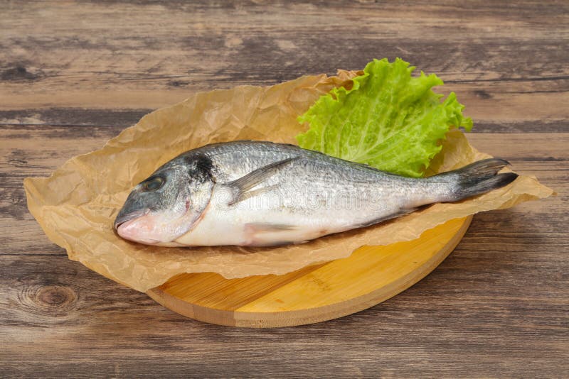 Raw Dorada Fish for Cooking Stock Image - Image of mediterranean ...