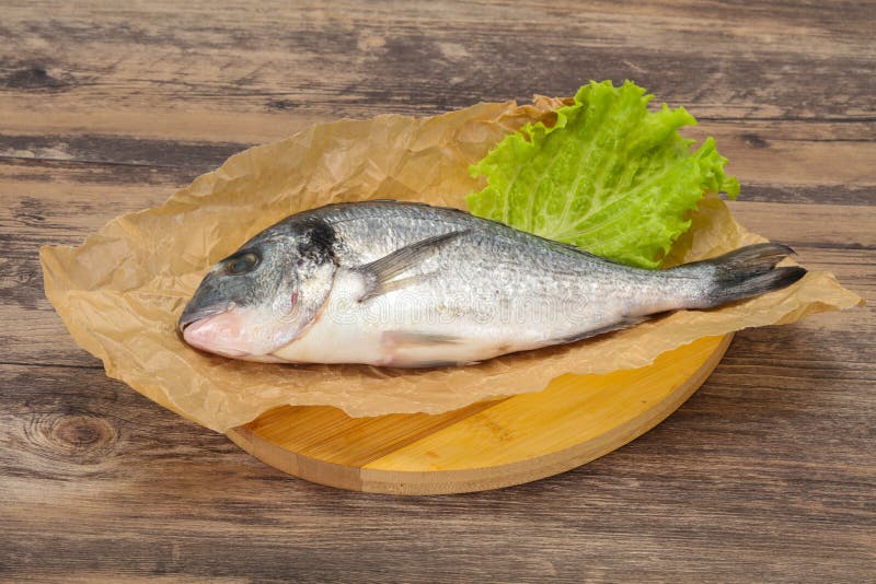 Raw Dorada Fish for Cooking Stock Photo - Image of preparation, sparus ...