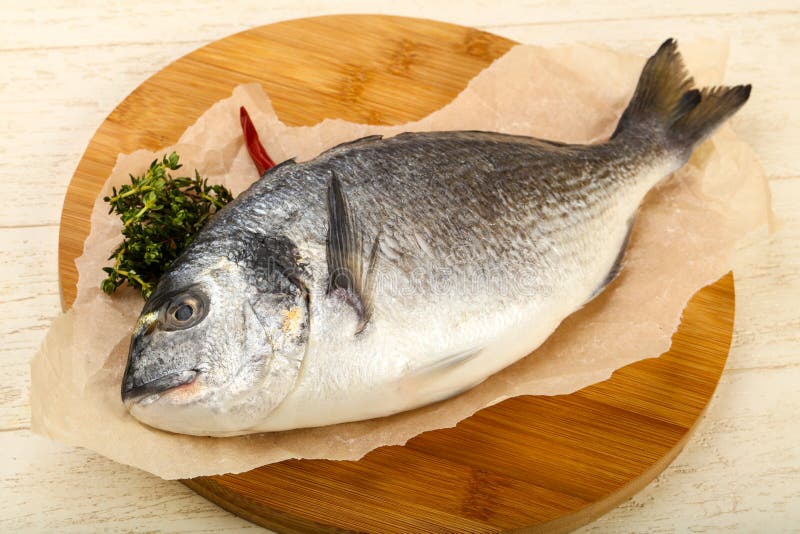 Raw dorada fish stock photo. Image of food, fish, meal - 112266850