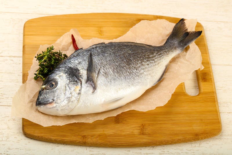 Raw dorada fish stock image. Image of dorada, catch - 117546753