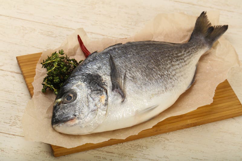 Raw dorada fish stock image. Image of dorada, dinner - 112891429