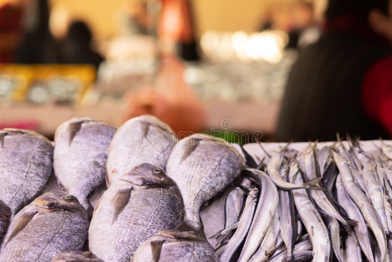 Raw Dorado Fish on Ice at the Fish Market Stock Photo - Image of dish ...