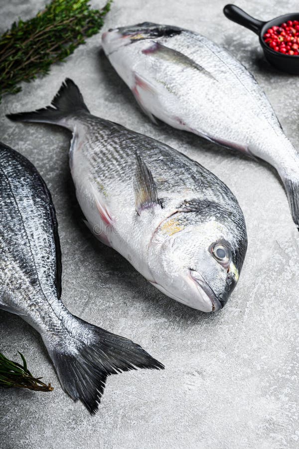Raw Dorado or Seabream Fish with Herbs for Grill Over Textured Grey ...