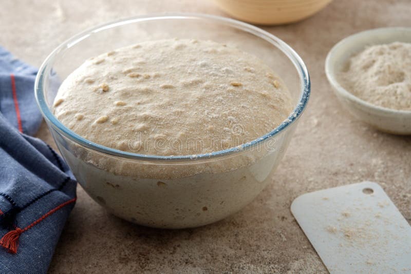 Raw Dough for Whole Wheat Rye Bread in a Bowl. Stock Photo - Image of ...