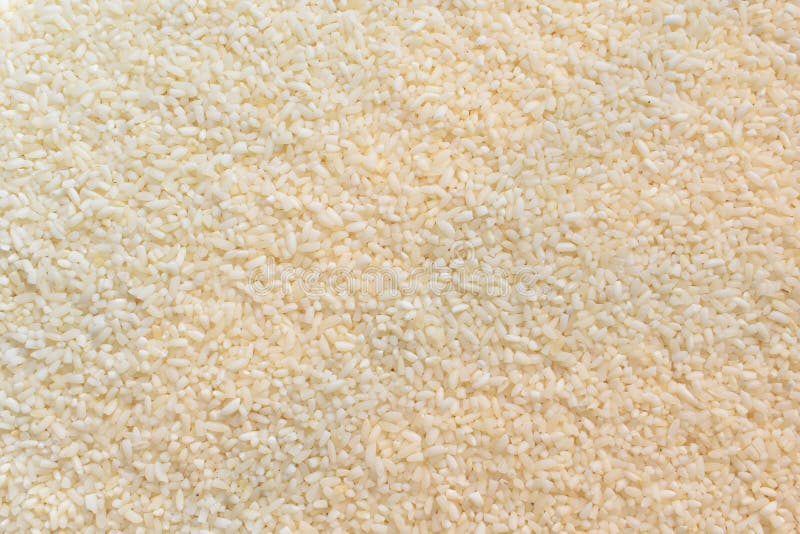 Raw dried broken rice stock photo. Image of ingredient - 203666414