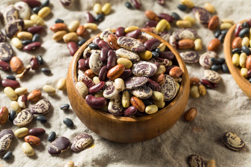 Raw Dried Organic Bean Assortment Stock Photo - Image of protein ...
