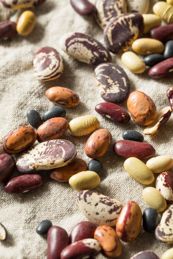 Raw Dried Organic Bean Assortment Stock Image - Image of heap, seed ...