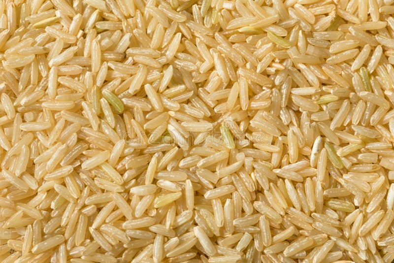 Raw Dry Organic Brown Rice stock photo. Image of organic - 196014956