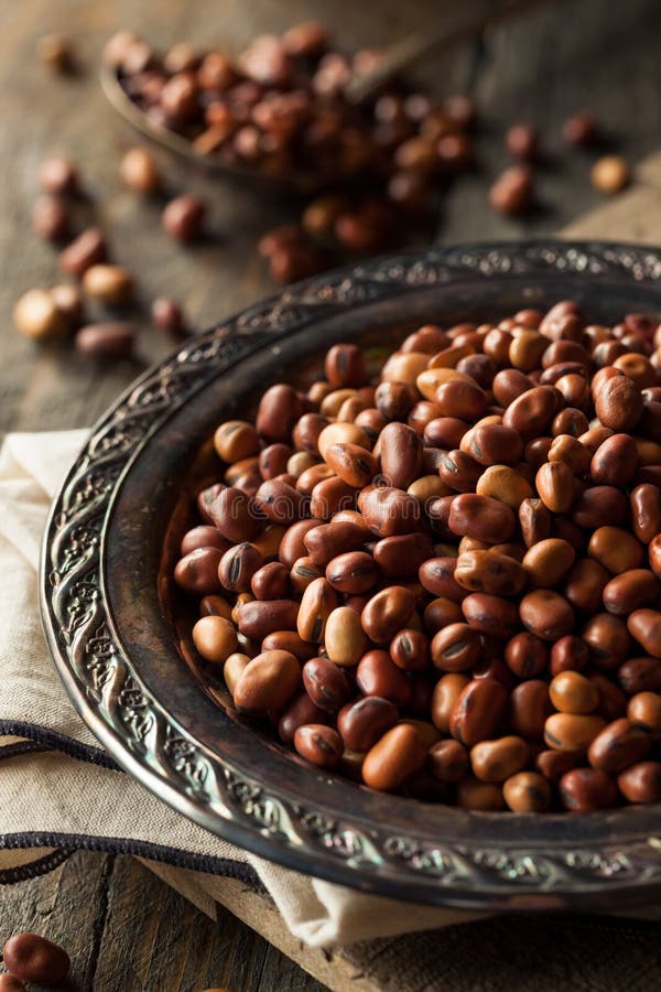 Raw Dry Organic Fava Beans stock photo. Image of health - 70309420