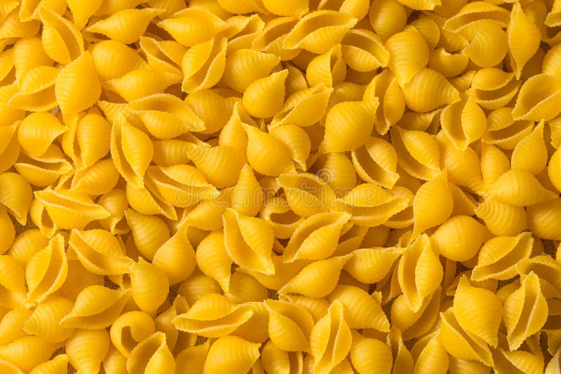 Raw Dry Organic Medium Pasta Shells Stock Photo - Image of shells ...