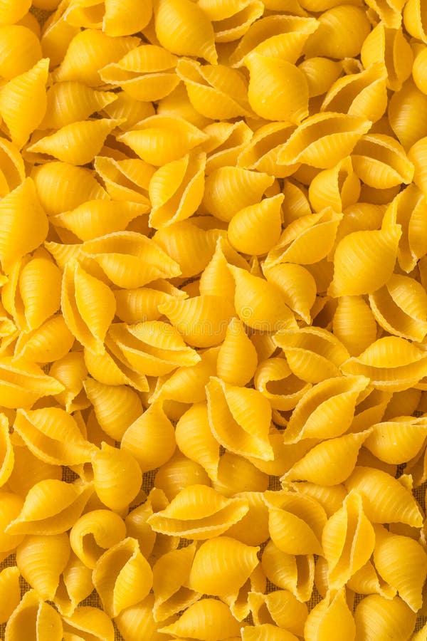 Raw Dry Organic Medium Pasta Shells Stock Image - Image of spaghetti ...