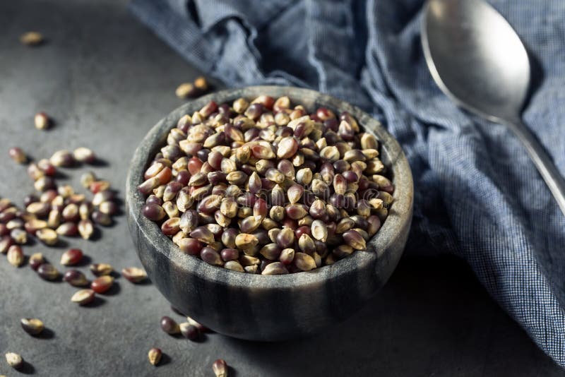 Raw Dry Organic Purple Popcorn Stock Image - Image of ingredient ...