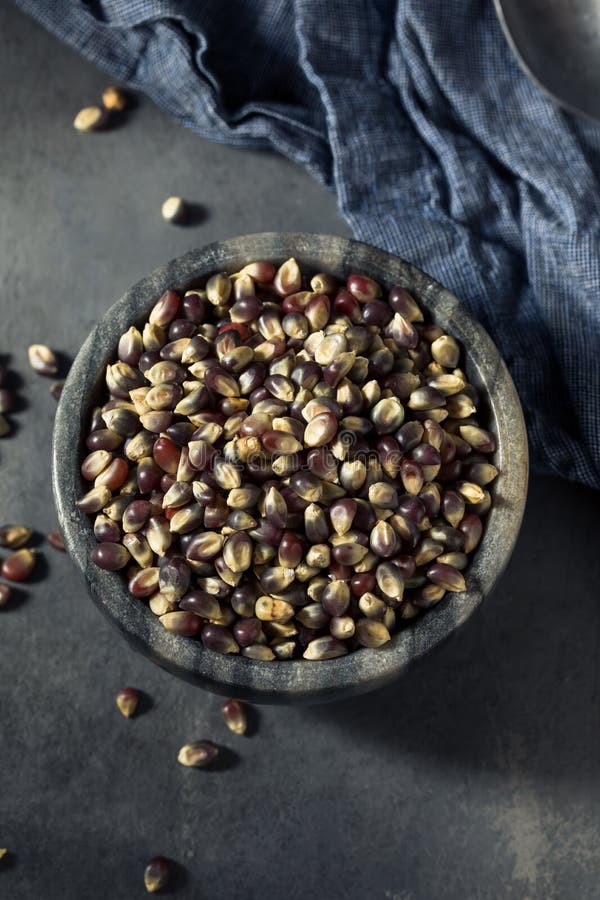 Raw Dry Organic Purple Popcorn Stock Image - Image of healthy, ripe ...
