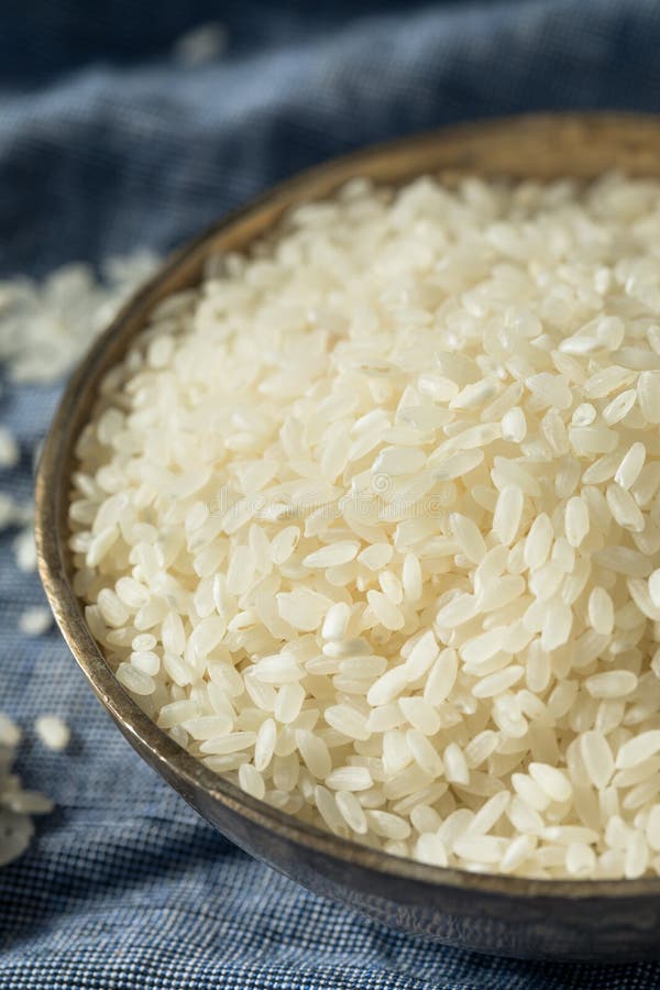 Raw Dry Organic Short Grain White Rice Stock Photo - Image of short ...