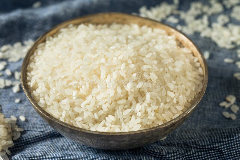 Raw Dry Organic Short Grain White Rice Stock Image - Image of white ...