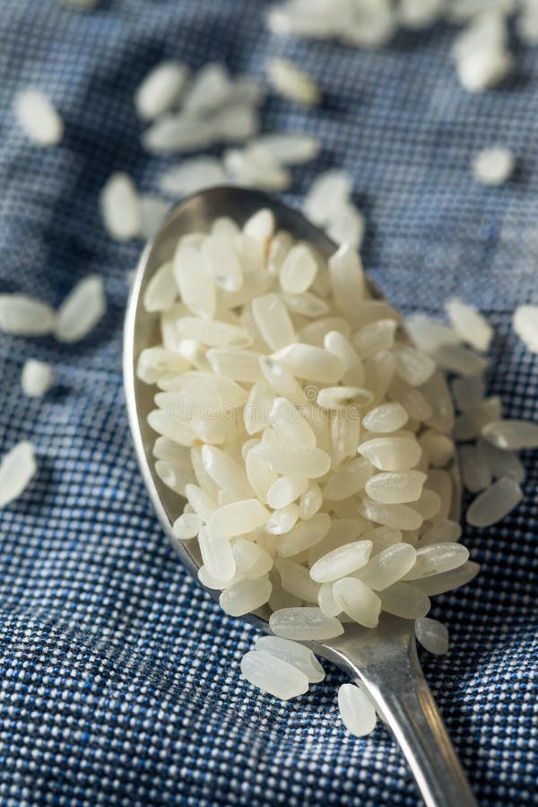 Raw Dry Organic Short Grain White Rice Stock Photo - Image of ...