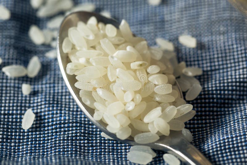 Raw Dry Organic Short Grain White Rice Stock Photo - Image of ...