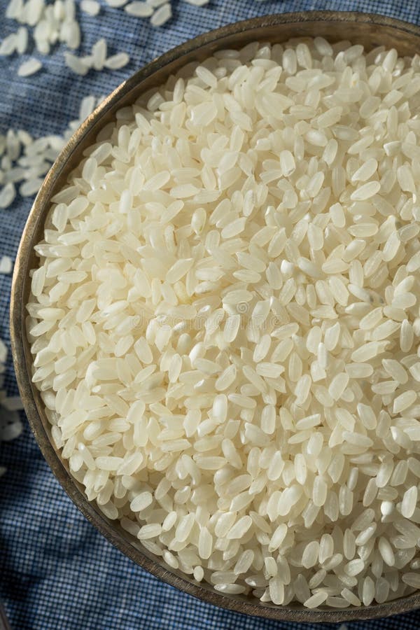 Raw Dry Organic Short Grain White Rice Stock Photo - Image of asia ...