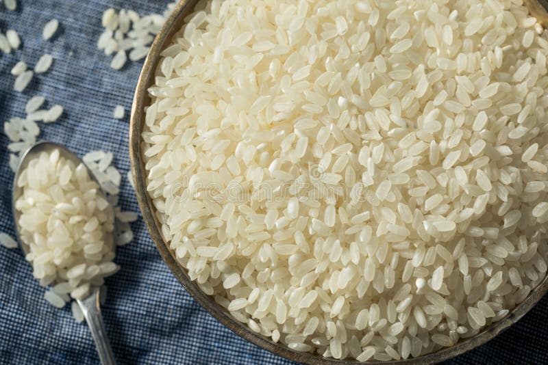 Raw Dry Organic Short Grain White Rice Stock Photo - Image of uncooked ...