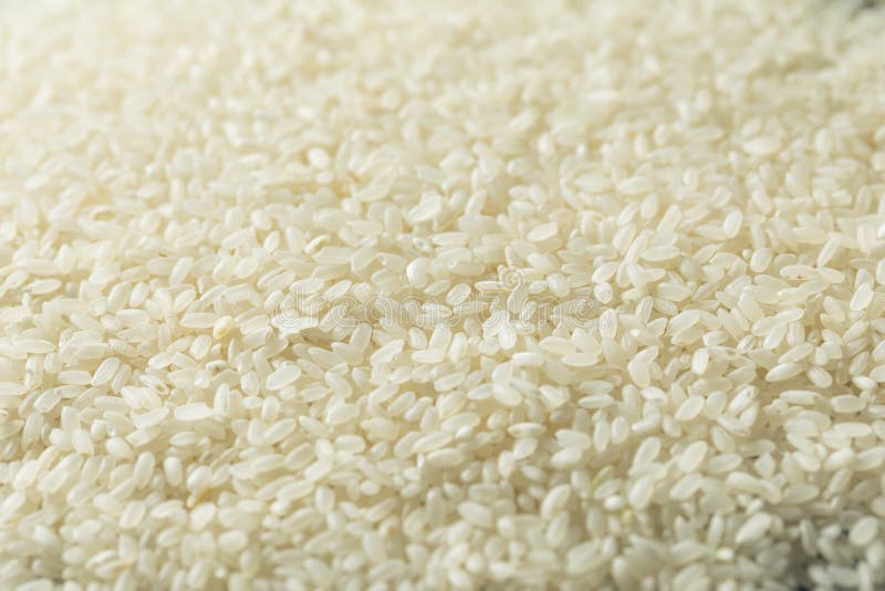 Raw Dry Organic Short Grain White Rice Stock Image - Image of bowl ...