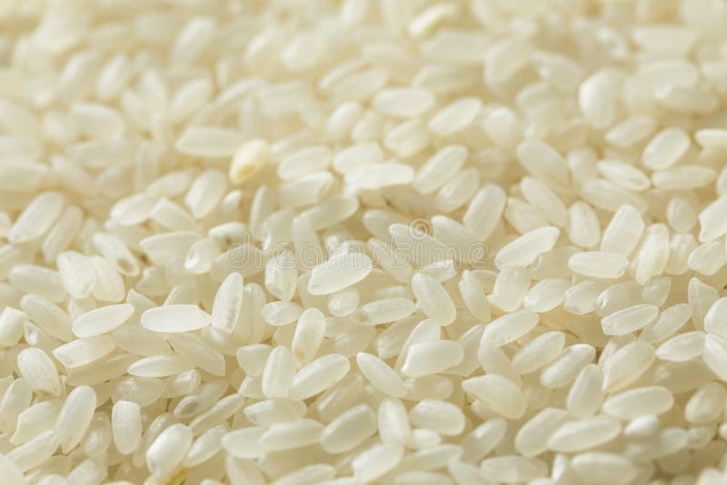 Raw Dry Organic Short Grain White Rice Stock Photo - Image of ...
