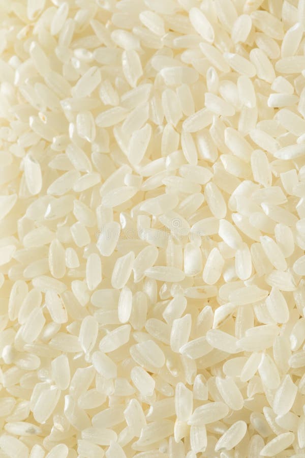 Raw Dry Organic Short Grain White Rice Stock Photo - Image of grain ...