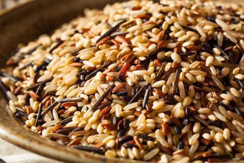 Dry Organic Wild Long Brown Rice Stock Photo - Image of ingredient ...
