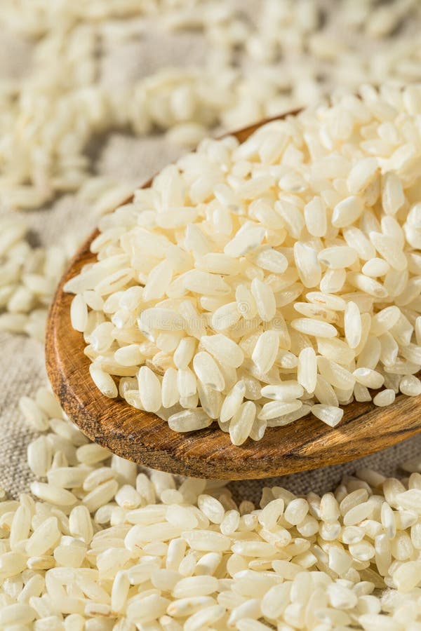 Raw Dry White Arborio Rice stock image. Image of natural - 295743337