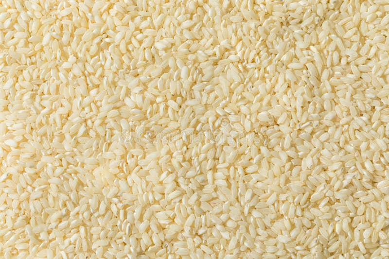 Raw Dry White Arborio Rice stock photo. Image of seed - 295743368