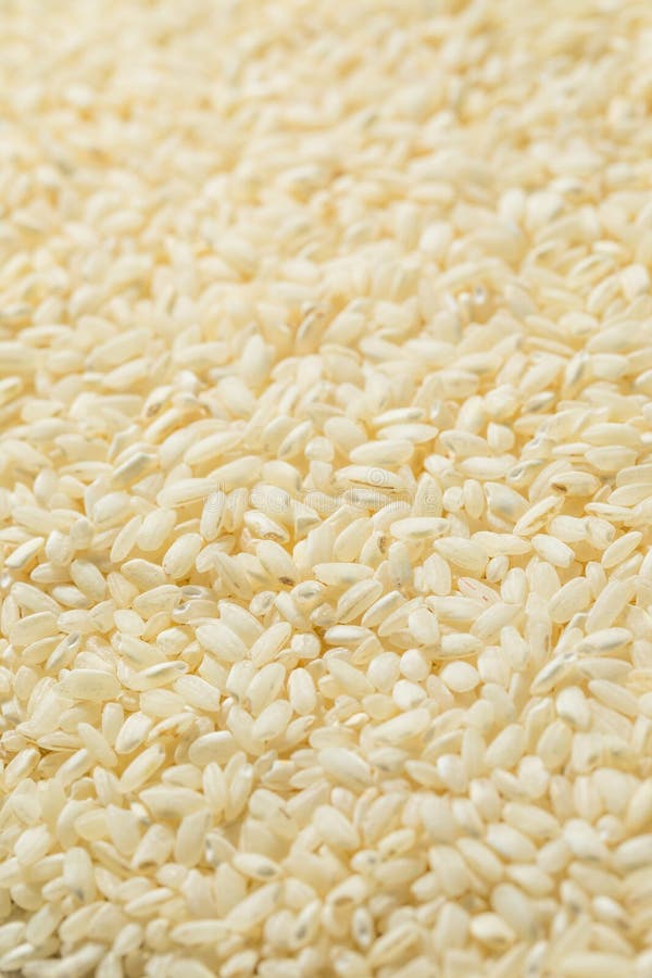 Raw Dry White Arborio Rice stock photo. Image of healthy - 295743394