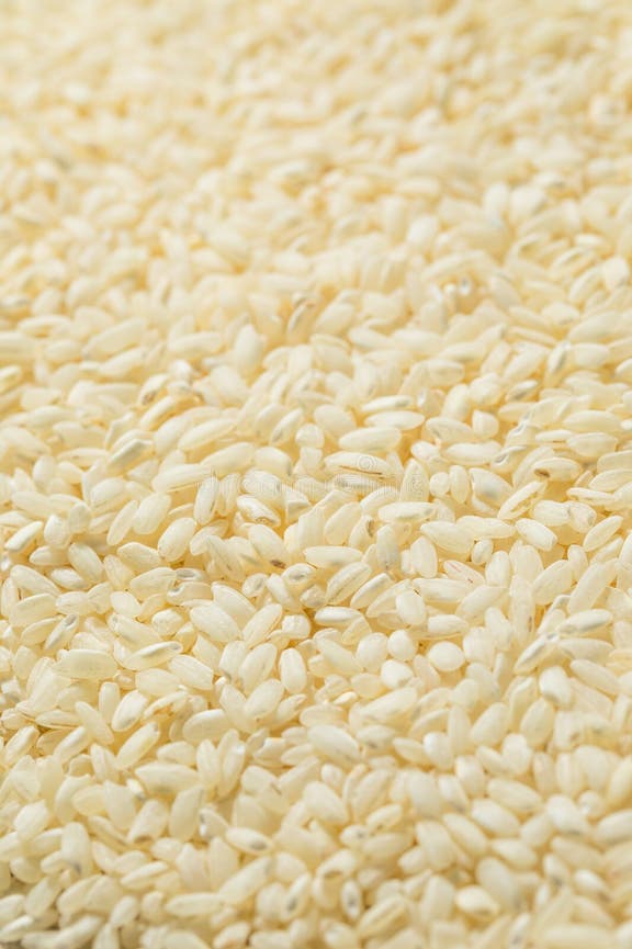 Raw Dry White Arborio Rice stock photo. Image of healthy - 295743394
