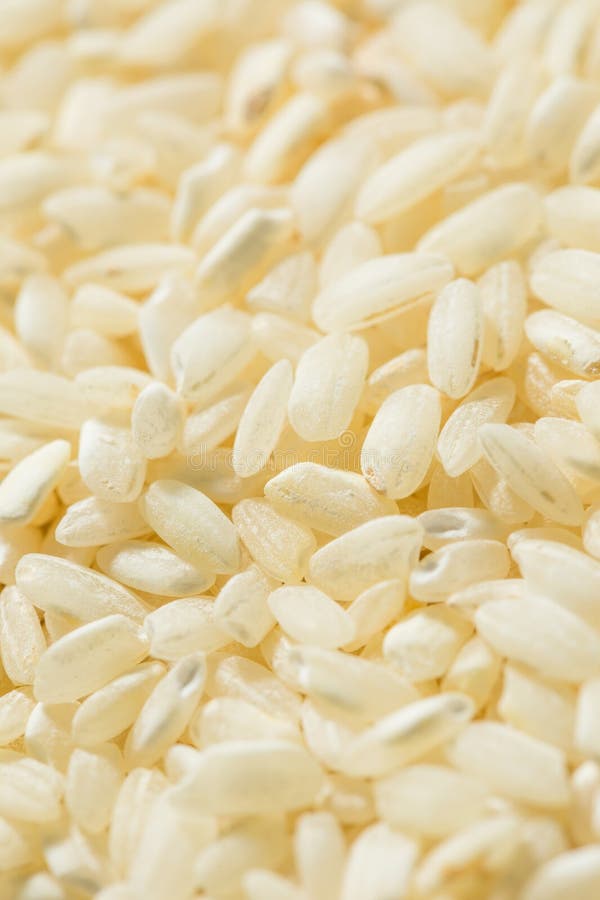 Raw Dry White Arborio Rice stock photo. Image of arborio - 295743404