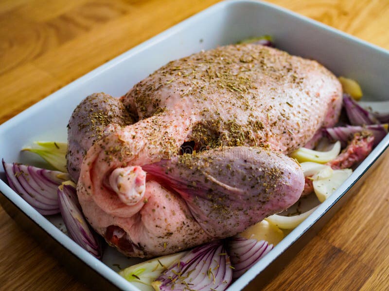 Raw Duck with Fresh Vegetables in Pot Prepared To Roast Stock Image ...