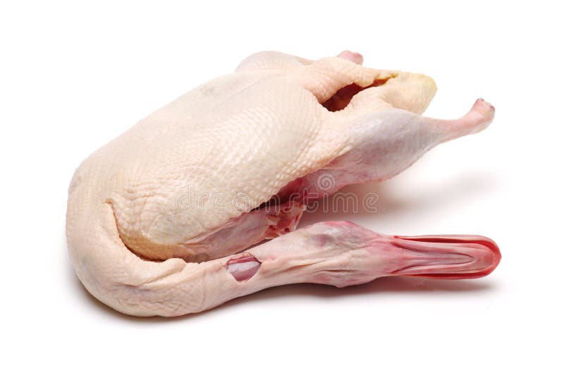 Raw Duck stock photo. Image of freshness, cooking, drink - 124468810