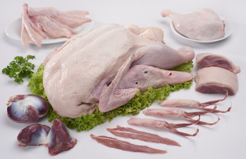 Whole Duck stock photo. Image of organs, meat, culinary - 129513050